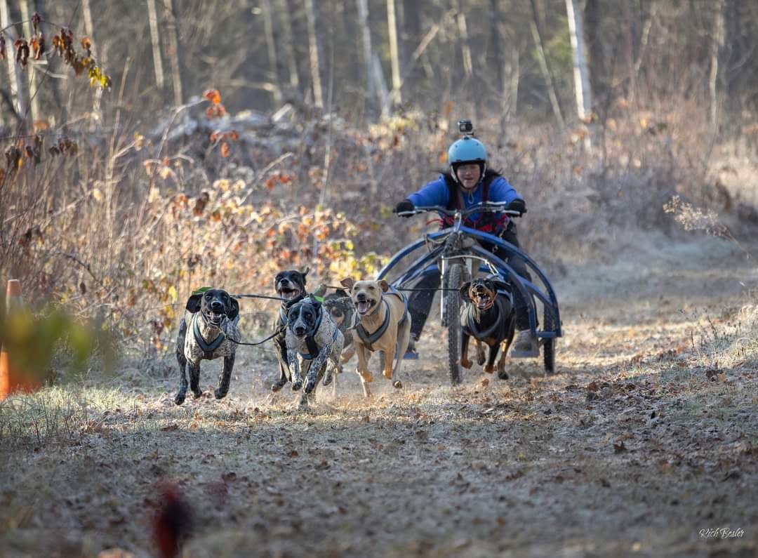 Aluminum Rigs - Wolftrack Rigs